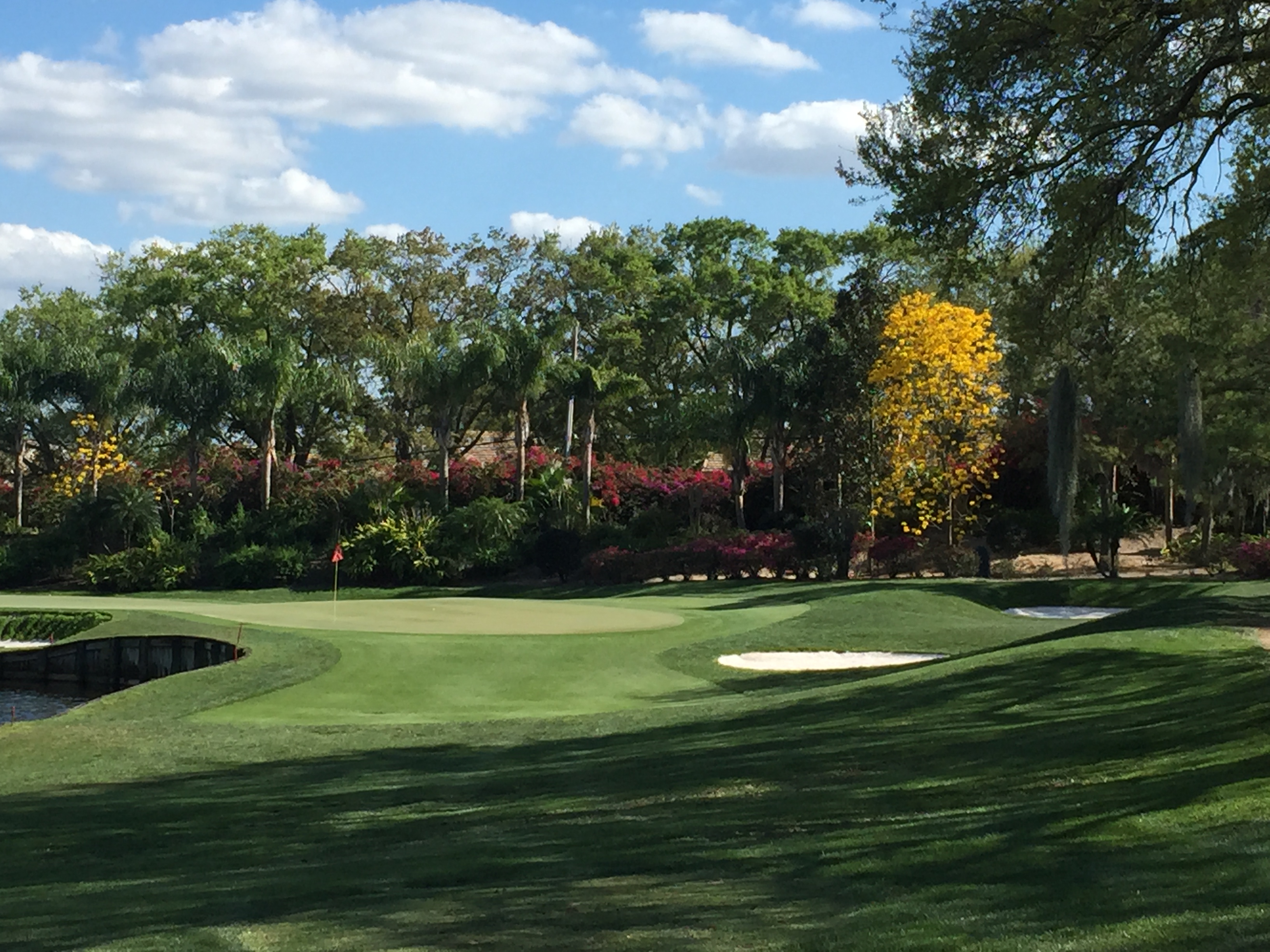 Home - Orange Tree Golf Club